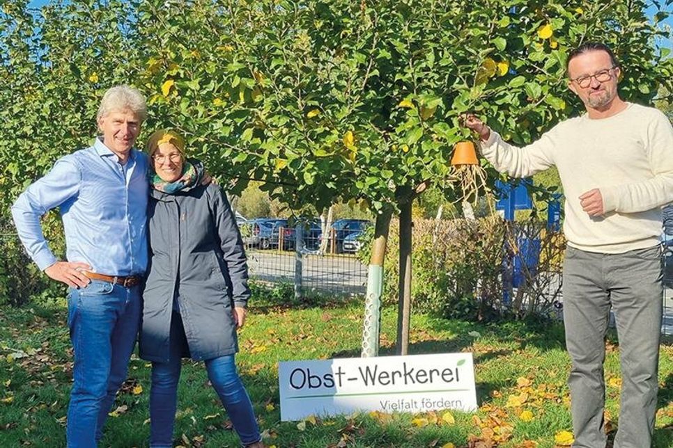 Stadtschule Travemünde: Schüler haben viel über Streuobst erfahren ...